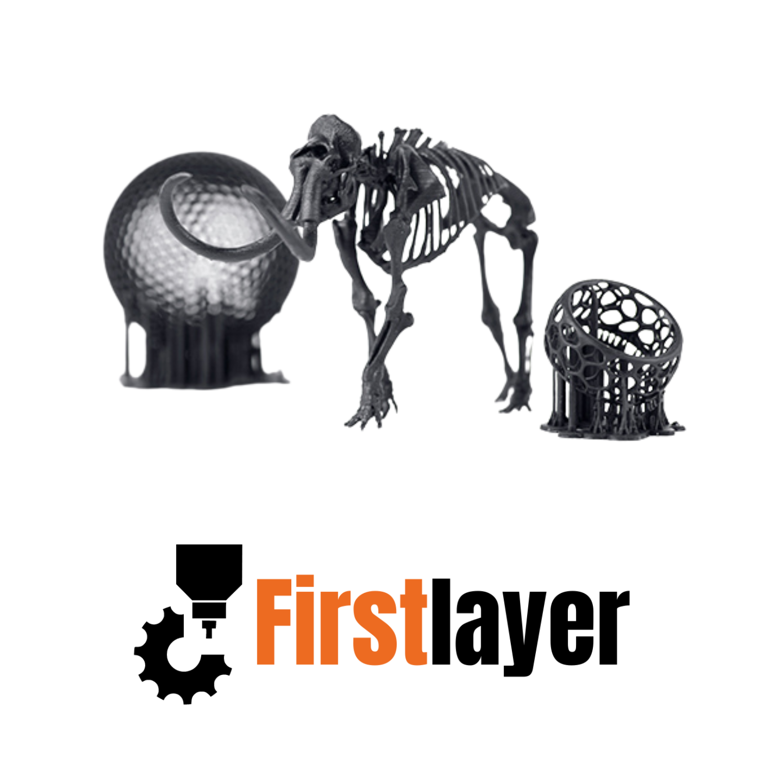 3D-Druck, 3D-Scans, CNC und Lasergravur - Firstlayer 3D Druck